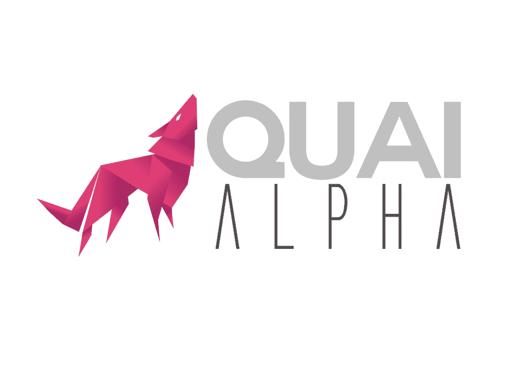 Projekteur - Agence Conseil Web & Marketing - Vosges & ailleurs